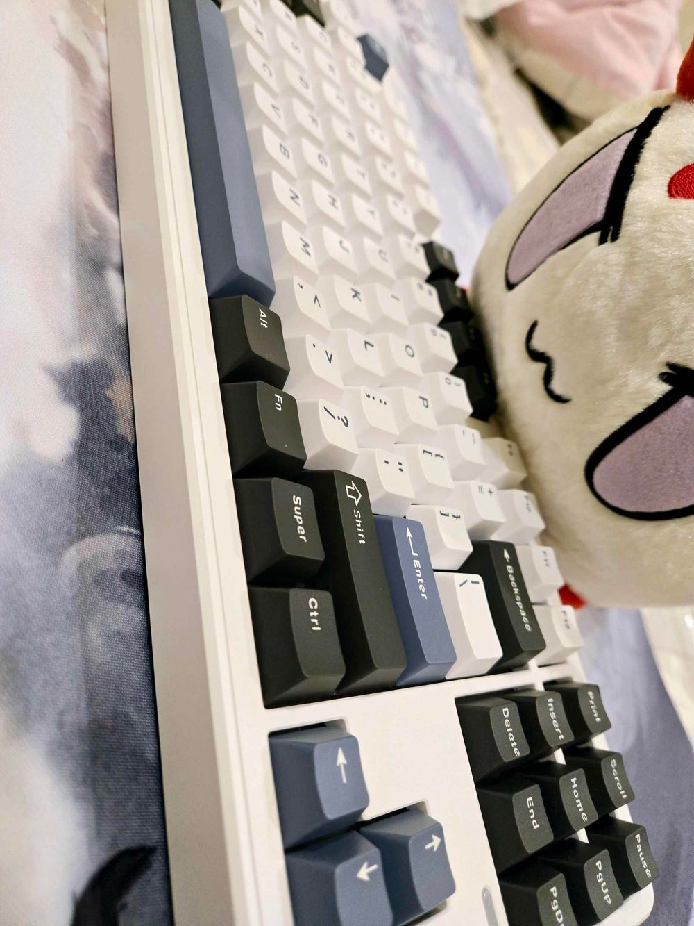 【心得】Riccks Rs8，不到800台幣的三模87配列鍵盤，簡潔外觀，獨特內膽，聲音優秀的好鍵盤。 @電腦應用綜合討論 哈啦板 - 巴哈姆特